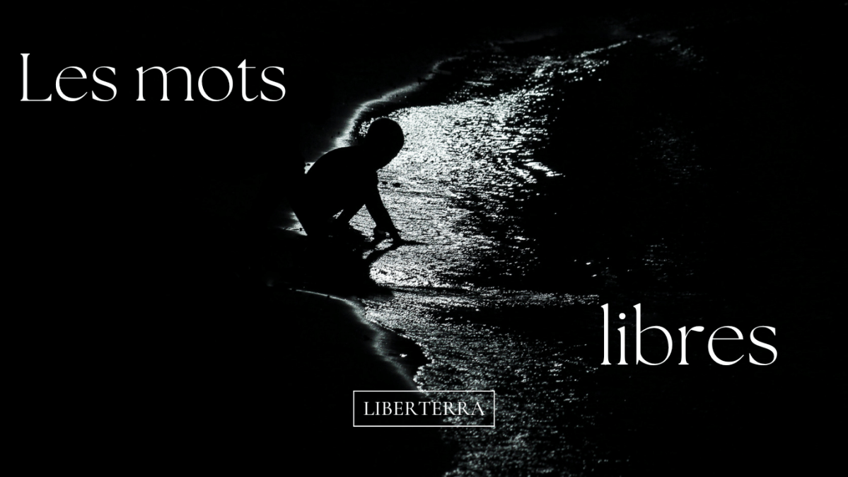 Quelques mots libres… – LiberTerra